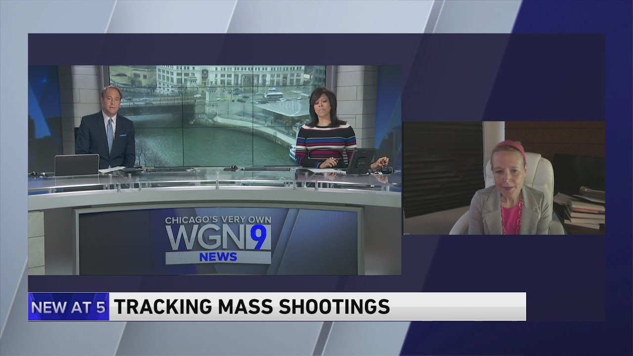 Northwestern professor Lori Post talks reasoning behind mass shootings ...