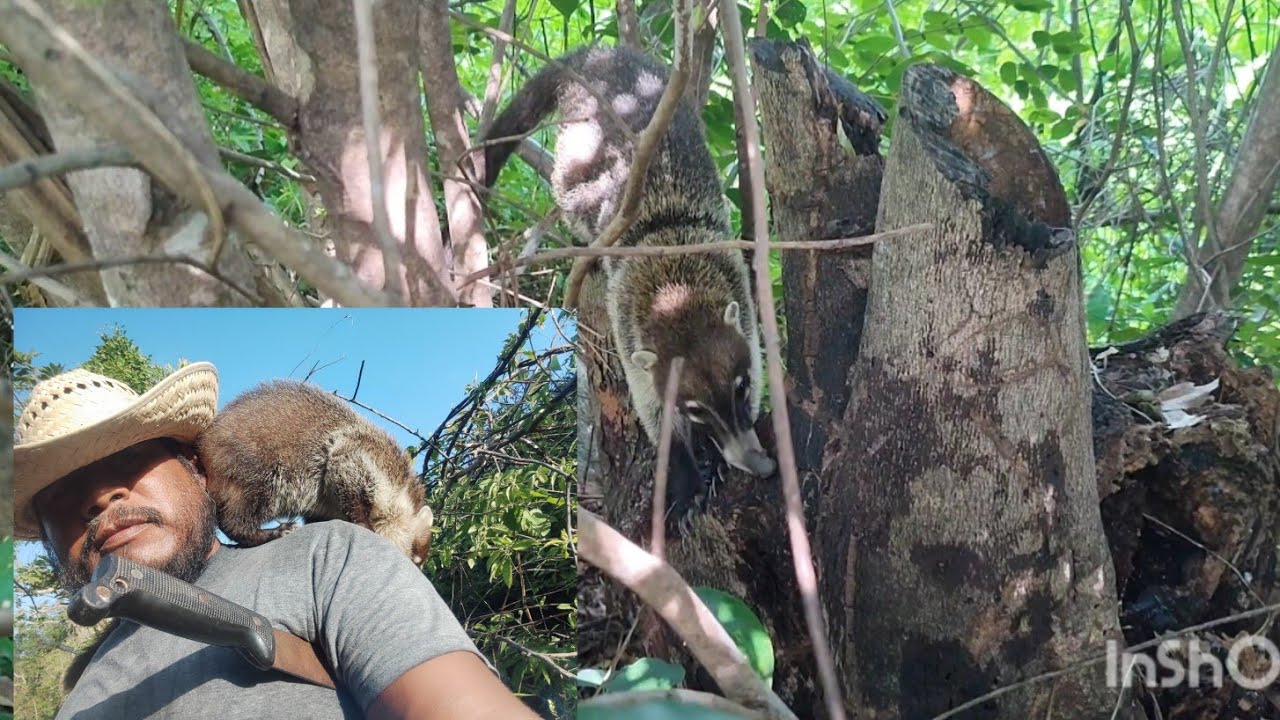 Asi me trató tejoncito hoy que lo visité😭🏞️🦡🚶 - YouTube