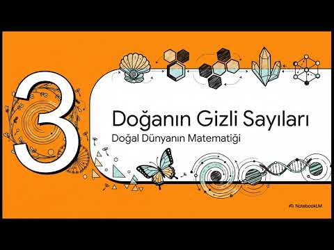 Gizli Kod  Matematik