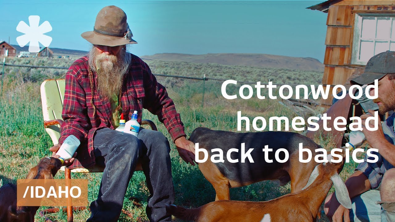 Idaho Cottonwood homestead's back to basics: raw goat milk - YouTube