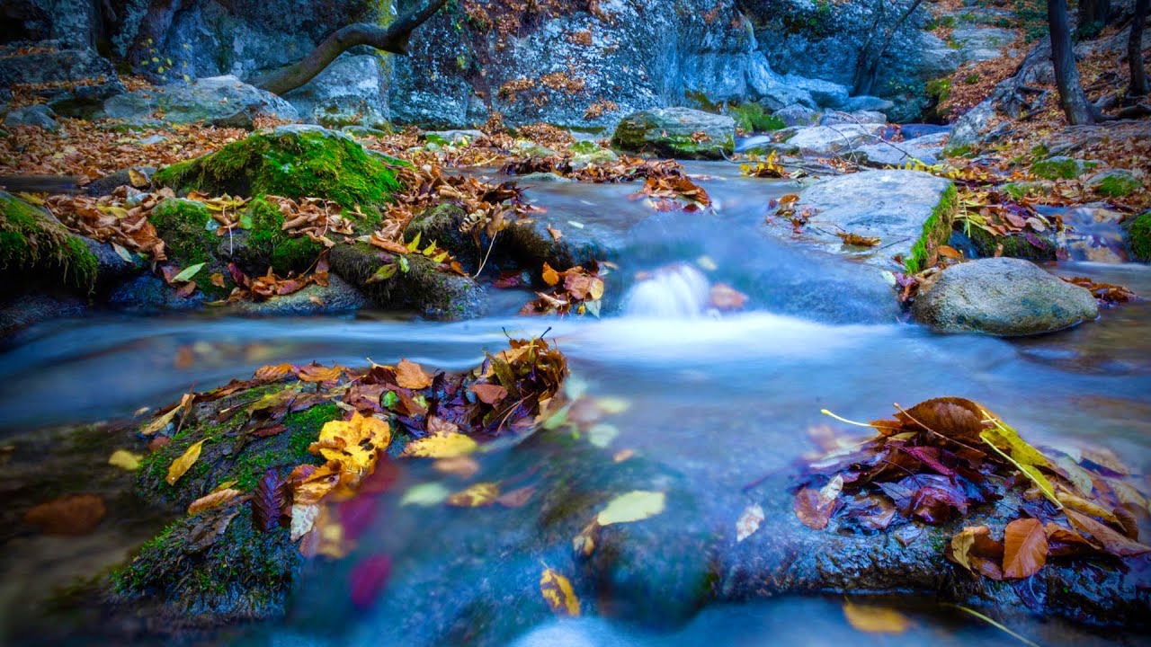 Soft sounds of nature Behind the scenes • Relaxing sounds and music ...