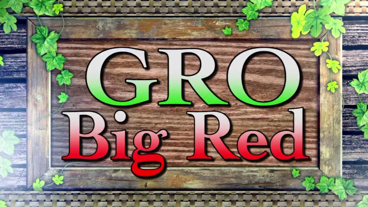 GRO Big Red Feb Show 1 Carrie Miller - YouTube