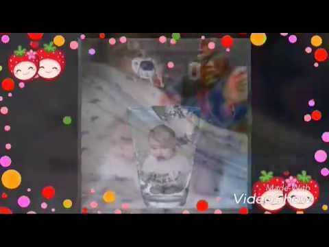 Gül balam Mehemmedim