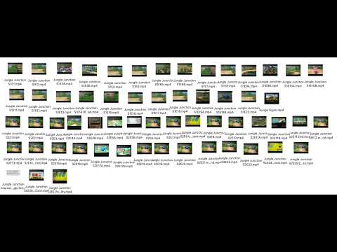 All Jungle Junction Episodes