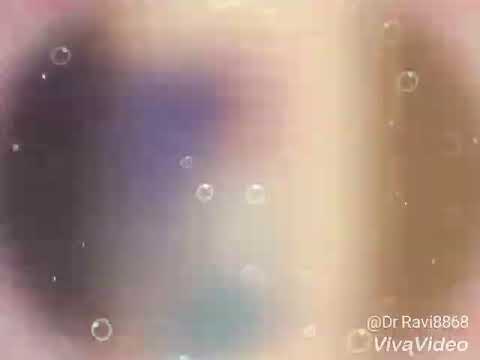 Bom digg digg bom bom New song