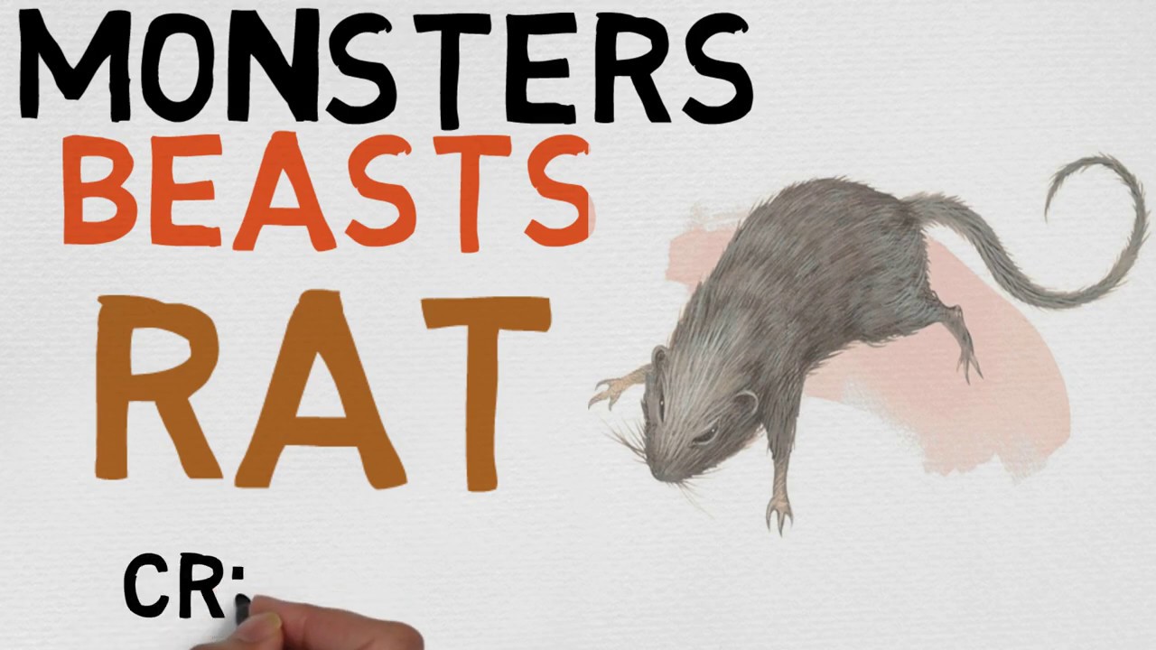 Beast #24: Rat (DnD 5E Monsters) - YouTube