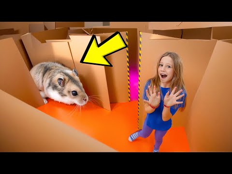 Nastya y el hámster escapan del laberinto de cartón