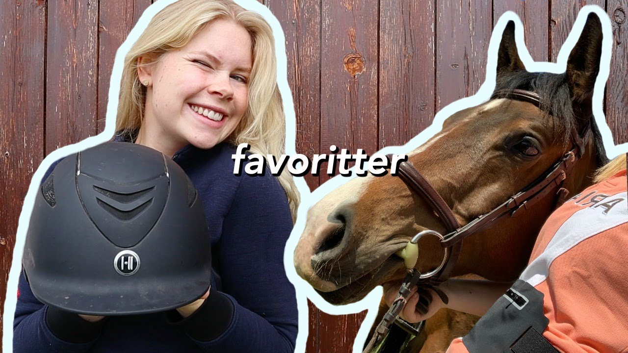 MINE FAVORITTER TIL HEST OG RYTTER LIGE NU | Camillas Hesteverden - YouTube