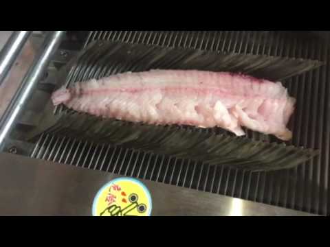 fish fillet machine - YouTube
