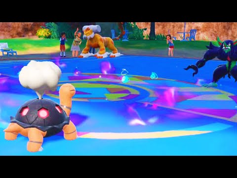 this is why torkoal is the best