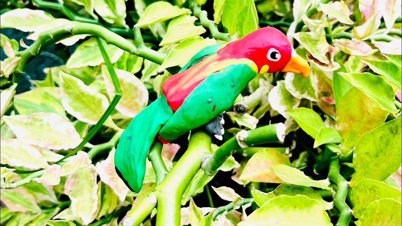 How to make a parrot with Clay 🦜 - YouTube