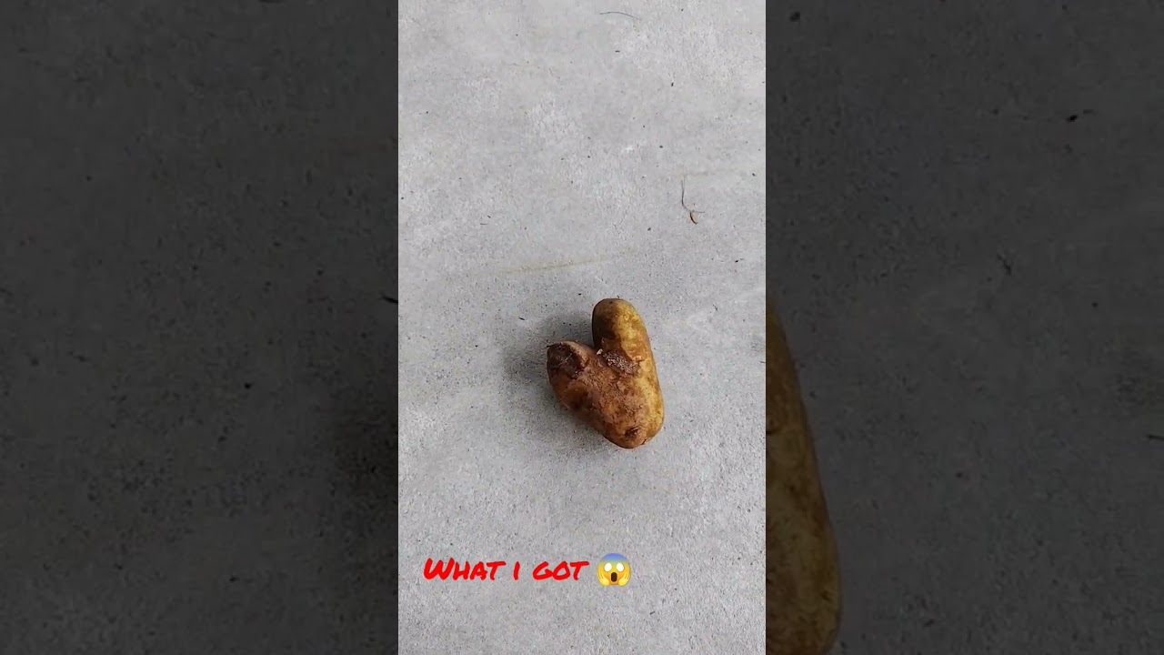 1 in a 10000000000000000 - YouTube