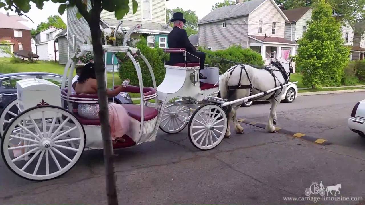 Make a grand entrance to your high school prom - Horse Drawn Carriages ...