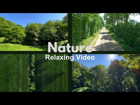 Natural Scenes | 4K Forest | Greenery | Ultra HD Nature | Relaxing ...