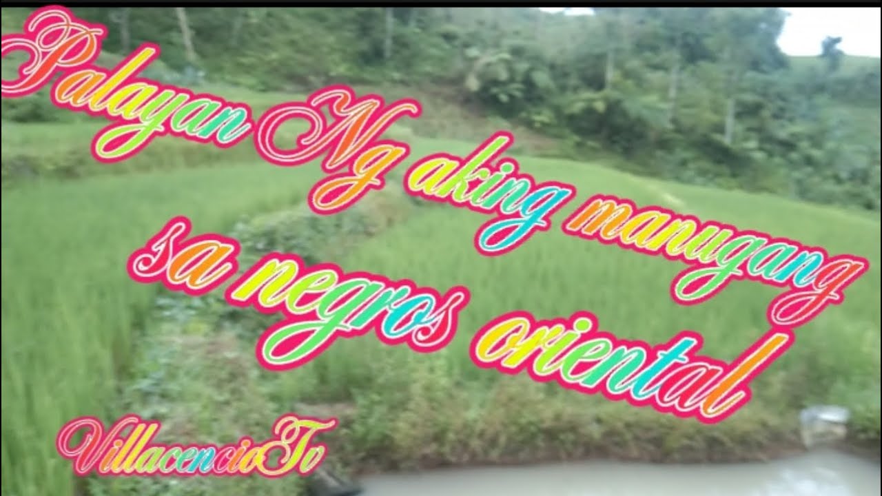 Palayan Ng manugang ko sa negros oriental#VillacencioTv - YouTube
