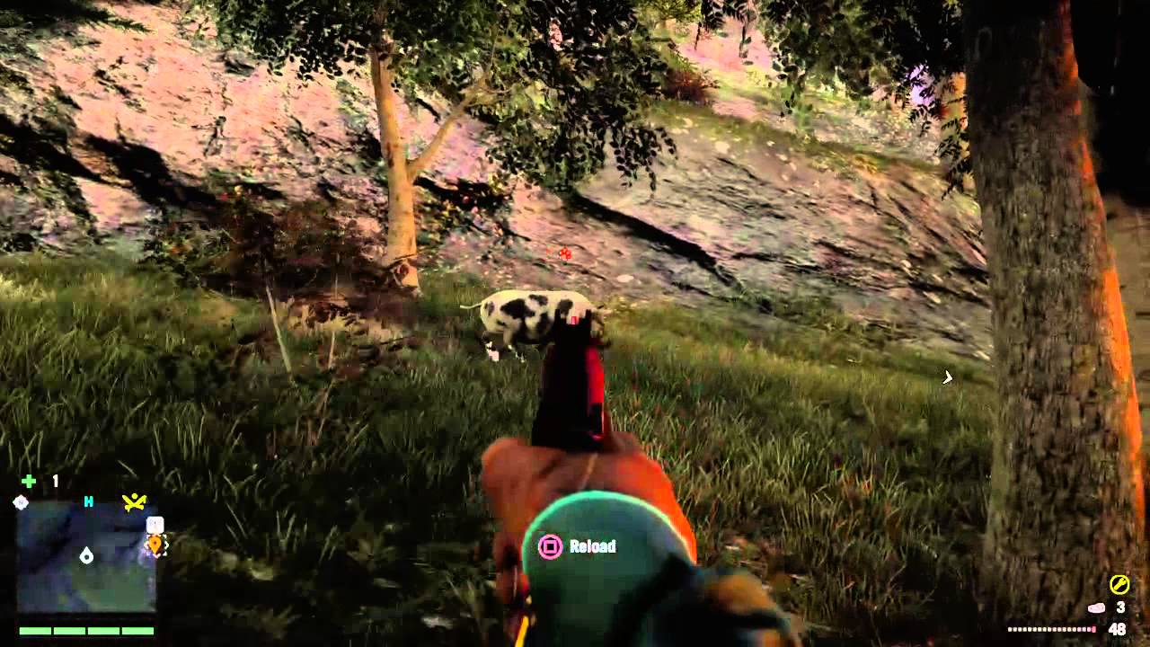Far Cry® 4 THE PIG THAT WON’T DIE! - YouTube