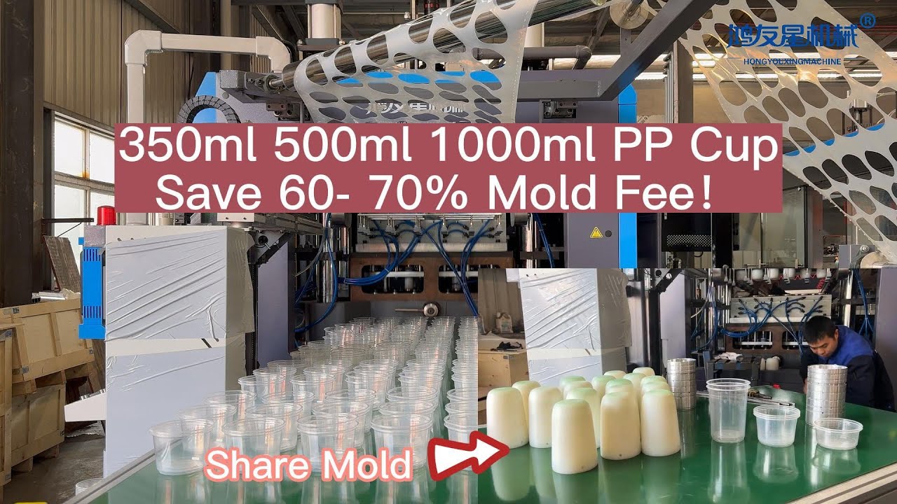 Three Sizes PP Cup Full Servo Motor Driven Cup Making Machine - YouTube
