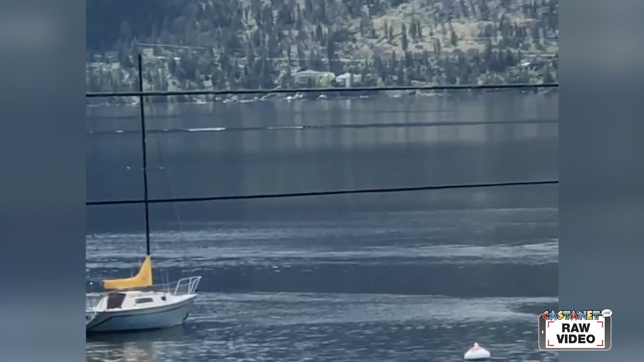 Okanagan Lake Monster