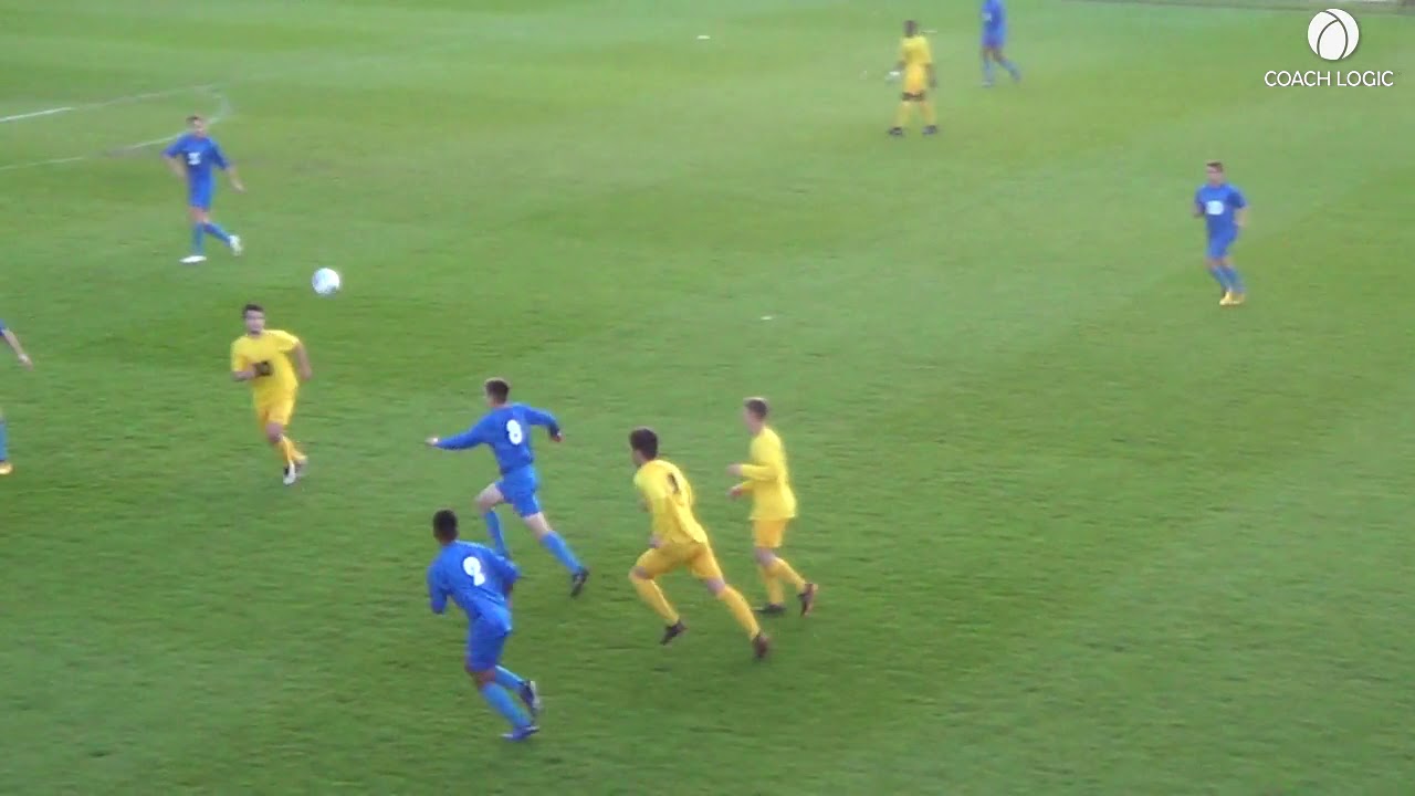 106569 Taylor Marsh, Yellow, 11 - YouTube