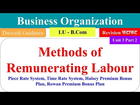Methods of Remunerating Labour, Business Organization unit 3, business ...