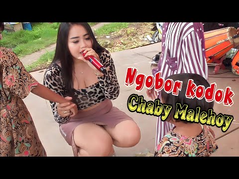 Chaby Malehoy - Ngobor kodok