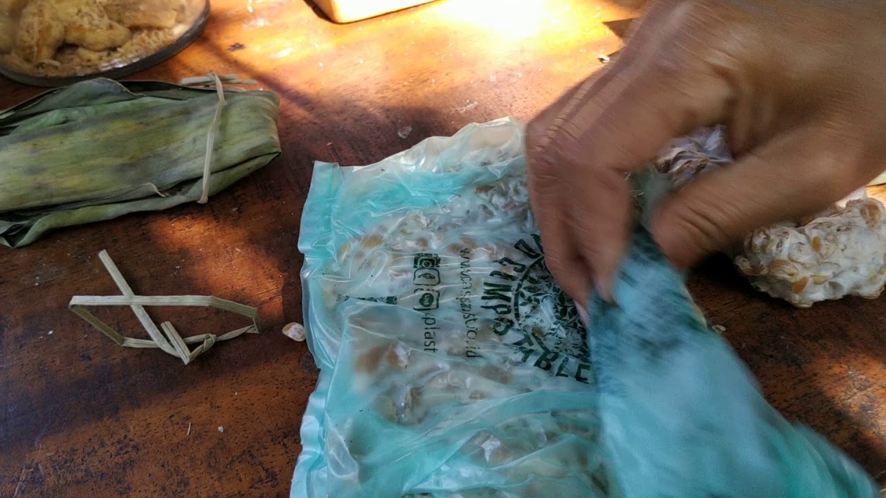 Tempe organik. Rumah Inspirasi Jogja 085101819925 - YouTube