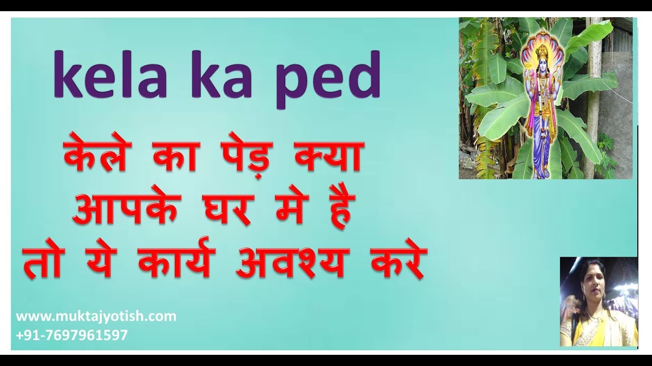 केले का पेड़ क्या आपके घर मे तो ये कार्य अवश्य करे kela ka ped by ...
