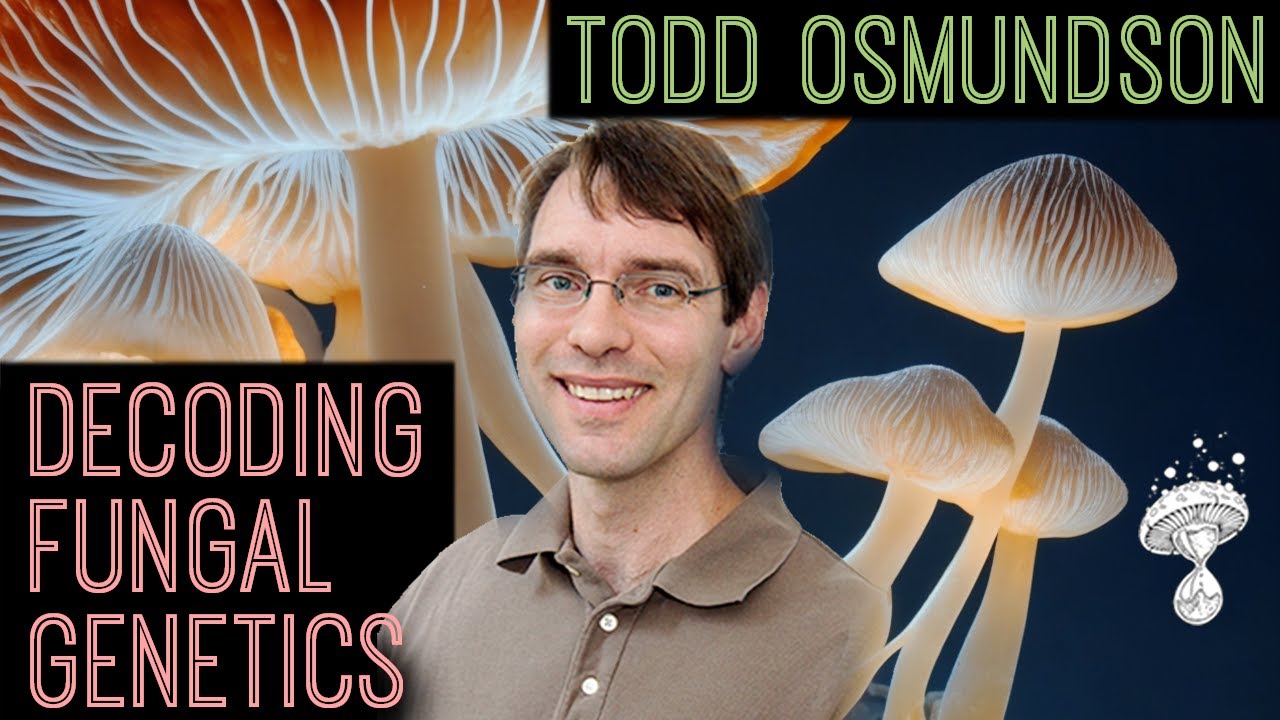 Unwinding Mushroom Mysteries, Decoding Fungal Genetics || Todd Osmundson PhD - YouTube