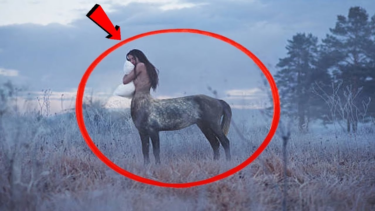 5 प्राचीन जानवर, जो वास्तव में मौजूद है Mythical Creatures That Actually Existed in Real Life ...