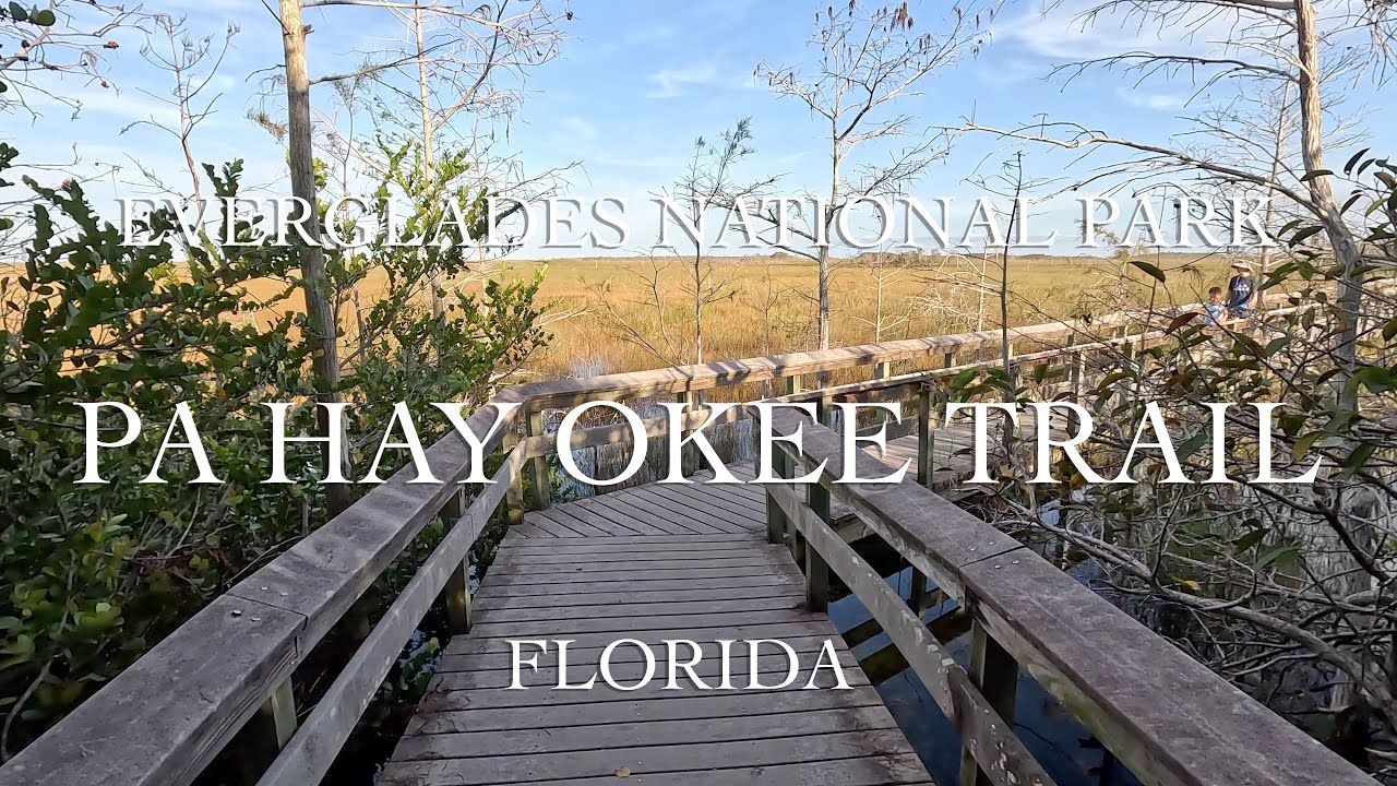 PA HAY OKEE TRAIL | EVERGLADES NATIONAL PARK | MIAMI | FLORIDA | 4K ...