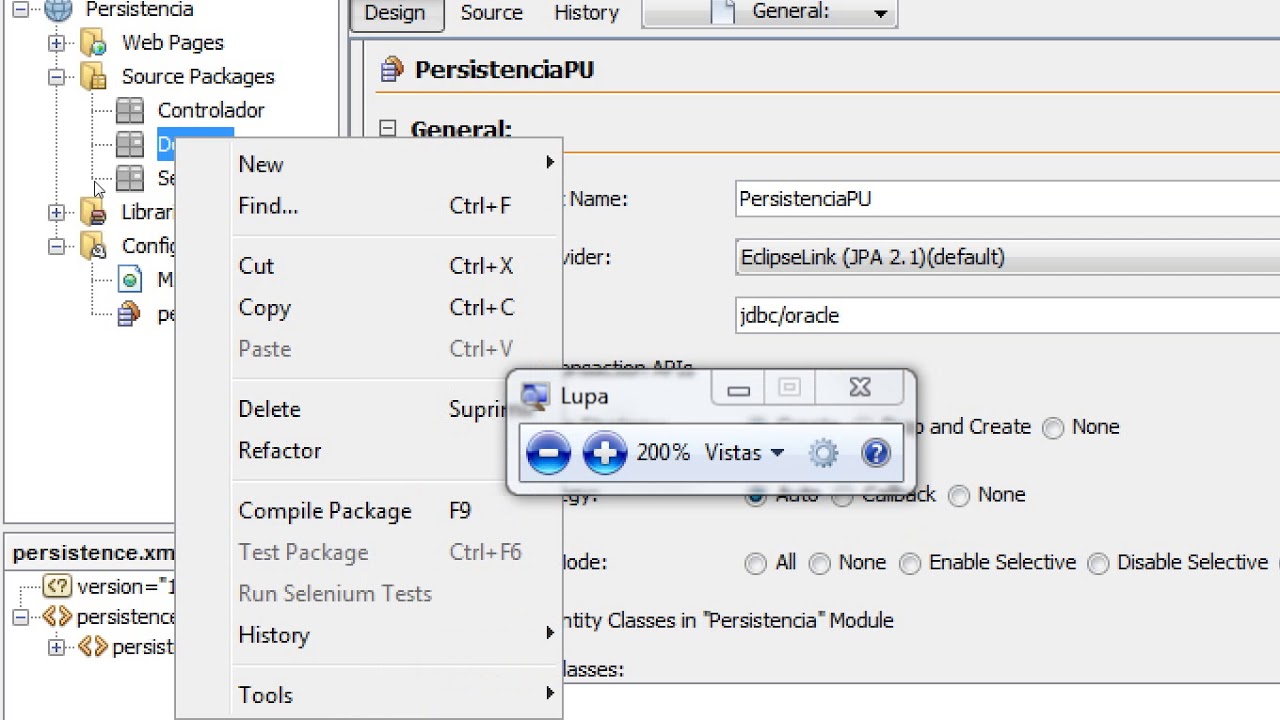 Persistencia, Mostrar y eliminar. Desarrollo en JAVA - YouTube