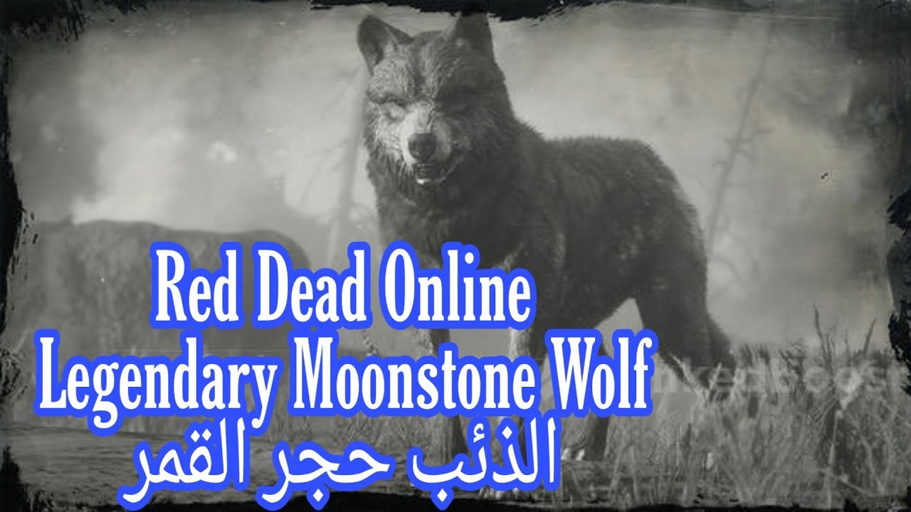 Red Dead Online Legendary Moonstone Wolf الذئب حجر القمر الاسطوري - YouTube