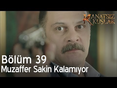 Kanatsız Kuşlar 39. Bölüm - Muzaffer sakin kalamıyor