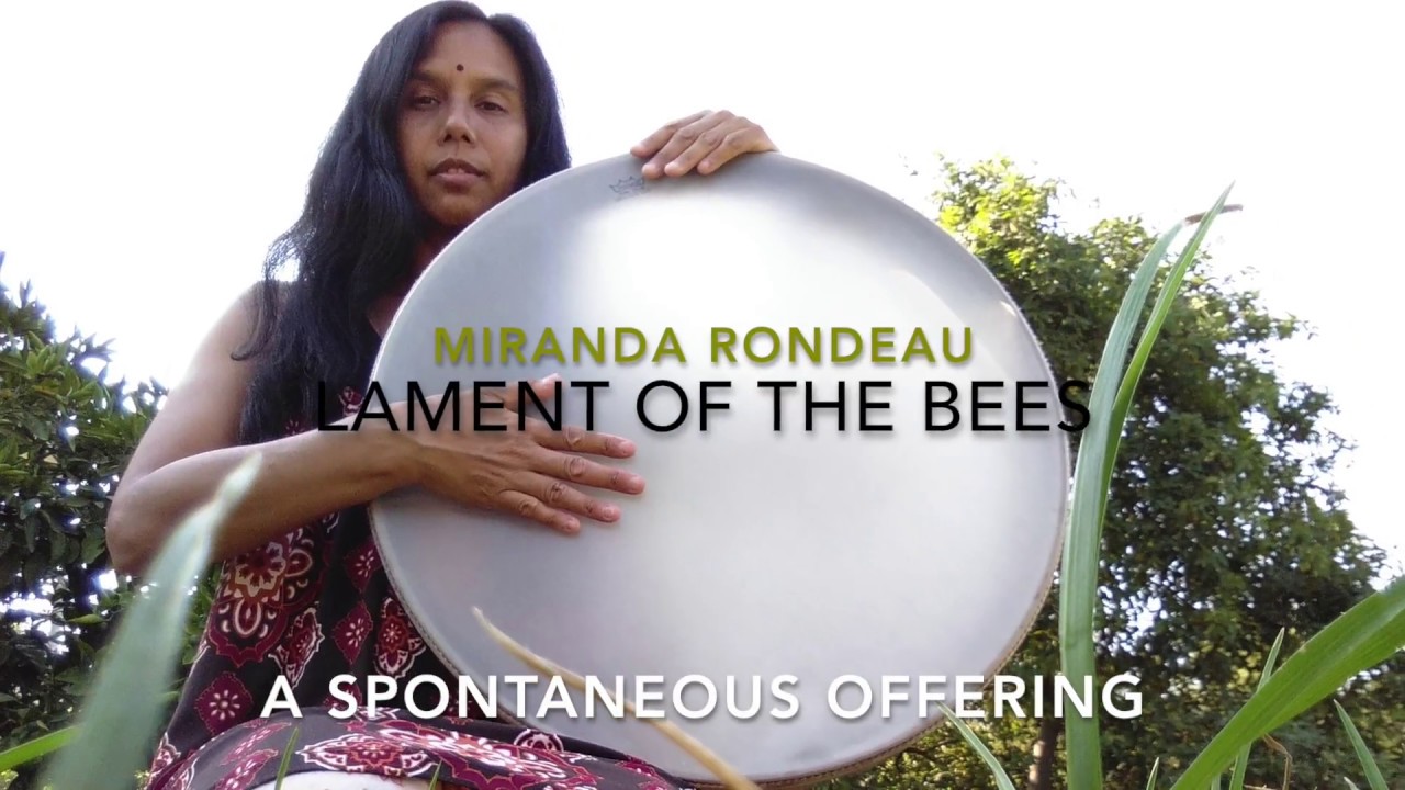Lament of the Bees a Spontaneous frame drum song offering by Miranda ...