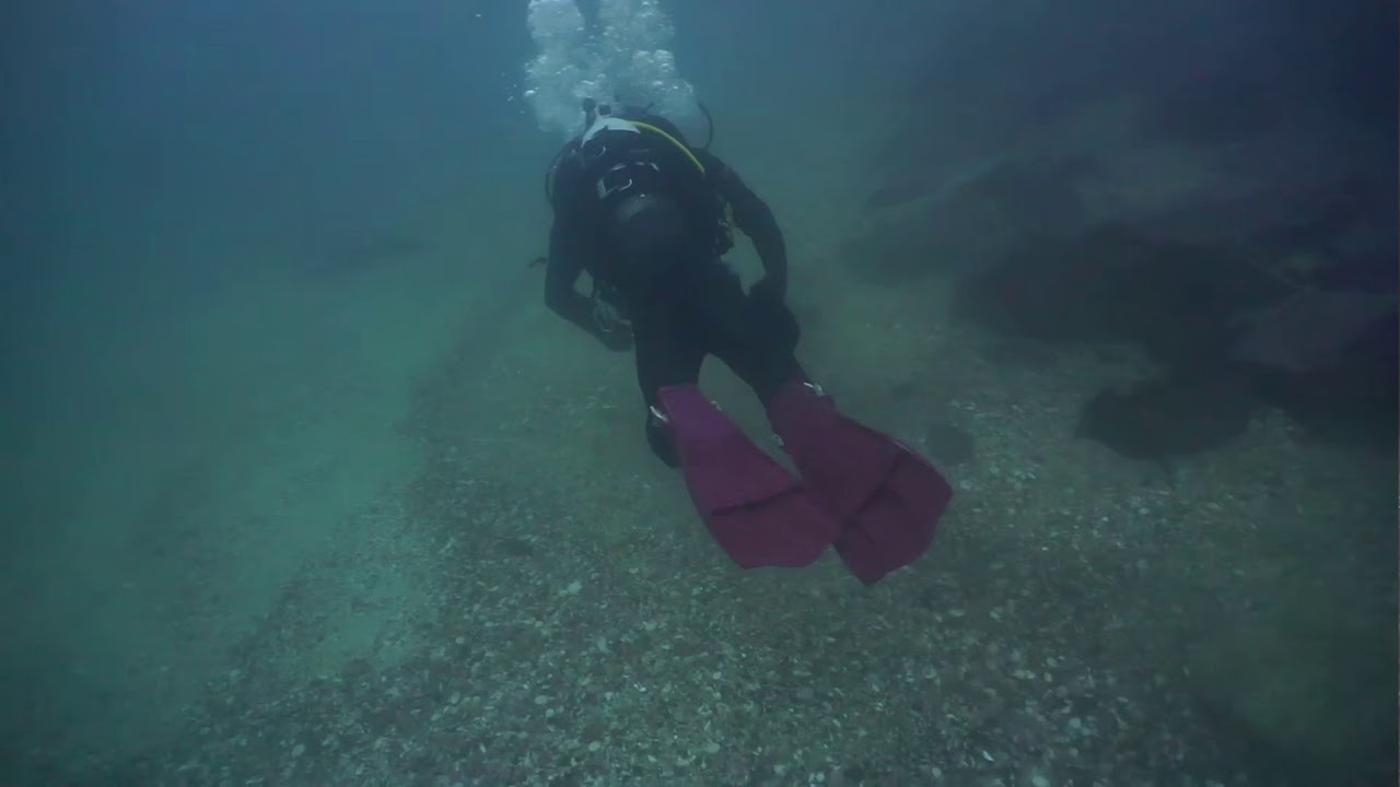 Buceo en lima, Naylamp Diving. - YouTube