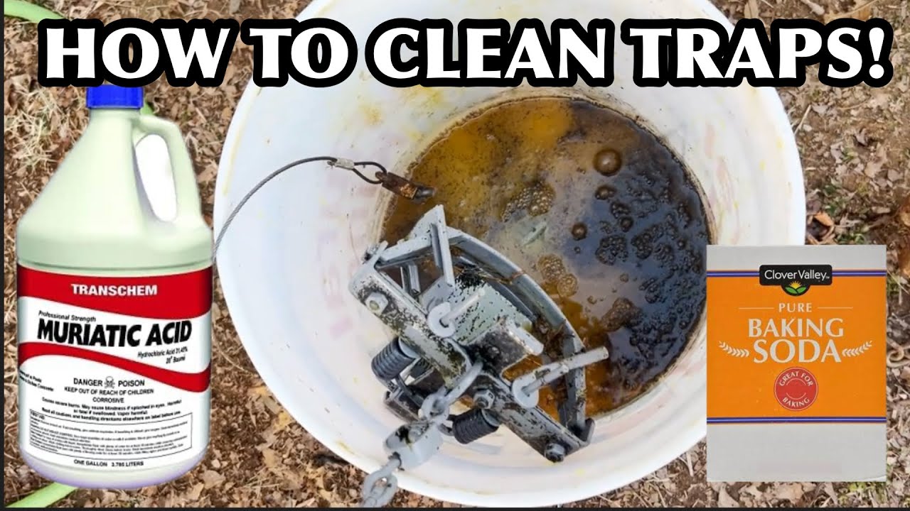 HOW TO CLEAN COYOTE TRAPS WITH ACID! Muriatic acid and baking soda ...