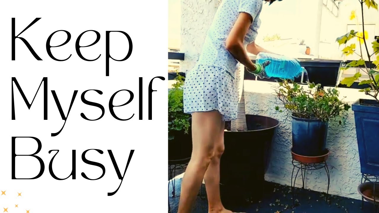 How to keep yourself busy at home by cleaning, cooking and gardening ...
