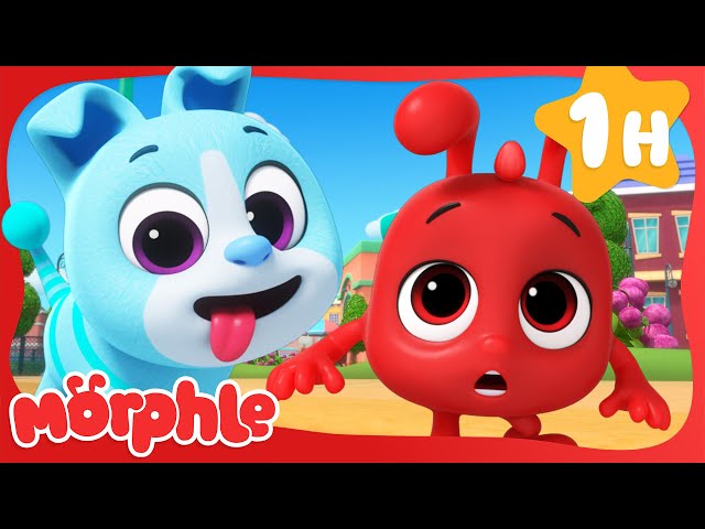 Magic Pet Puppy Rescue 🐶 and More Morphle Episodes | Adventures and ...