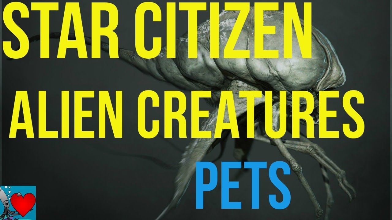 Star Citizen Alien Creatures | Pets - YouTube