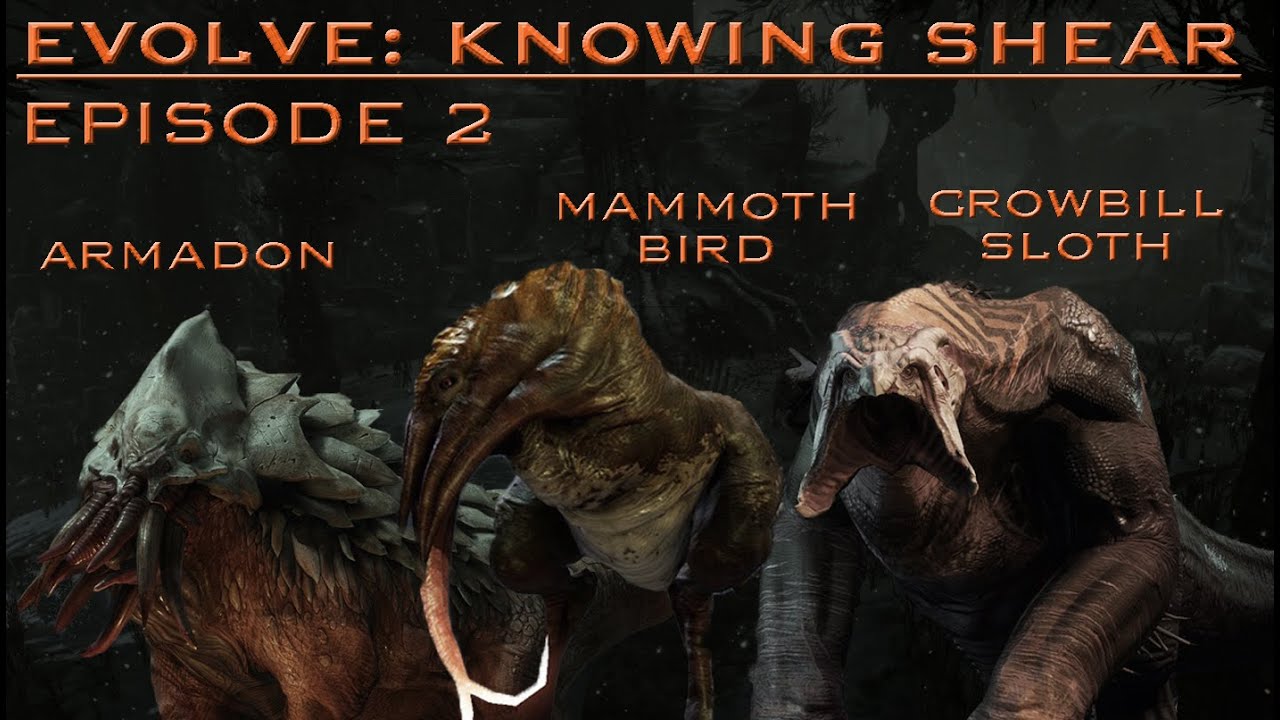 Evolve: Knowing Shear [Episode 2] - YouTube