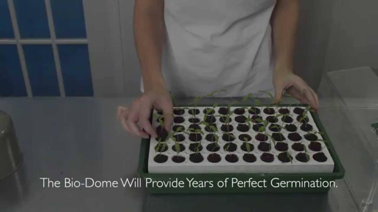 Park Seed's Exclusive Bio Dome - YouTube