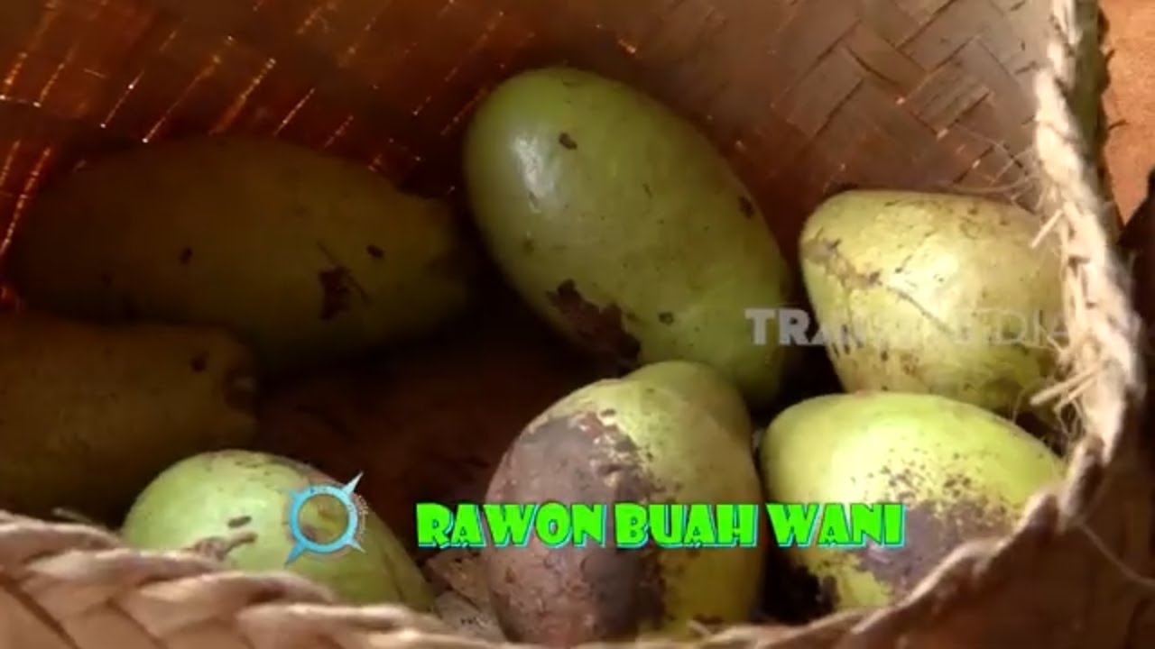 RAWON BUAH WANI | JEJAK SI GUNDUL (15/02/23) - YouTube