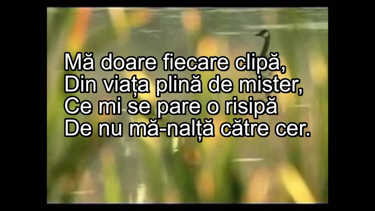 Ma doare fiecare clipa Negativ cu versuri - YouTube