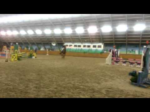 Concours genainville, Cloé & Uznama du lys 11/13