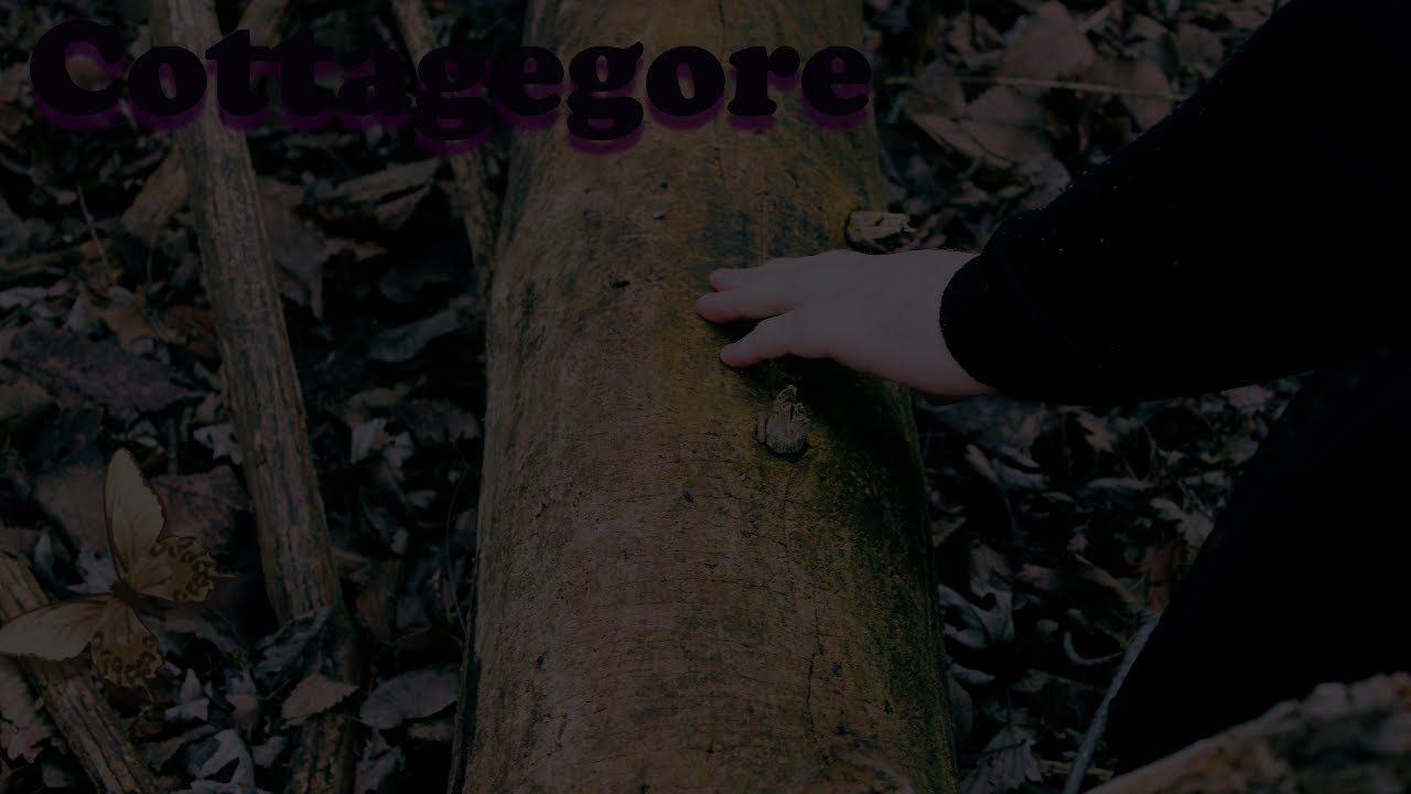 From Cozy to Creepy - Cottagegore - YouTube