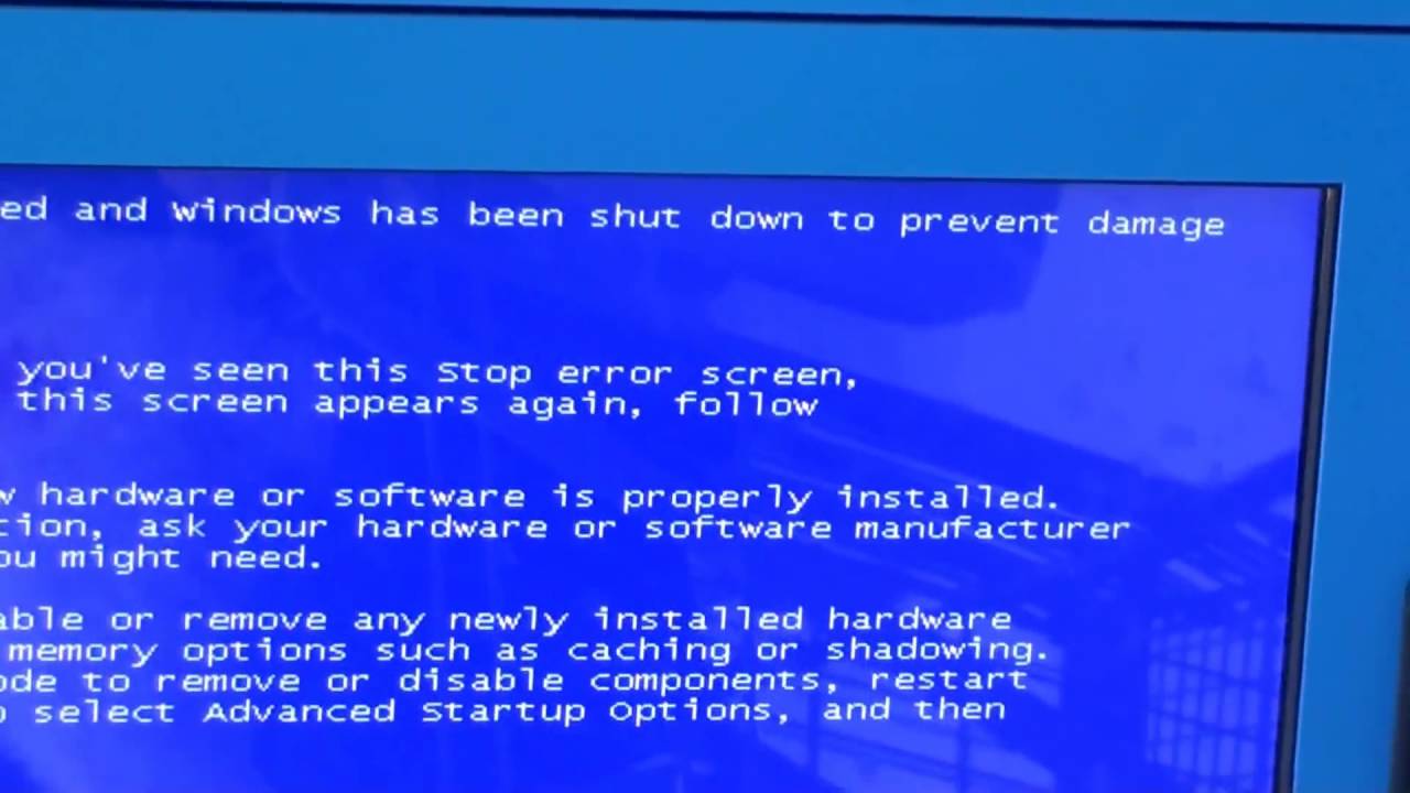 Very rare sight - blue screen of death in a store for a product ad ...