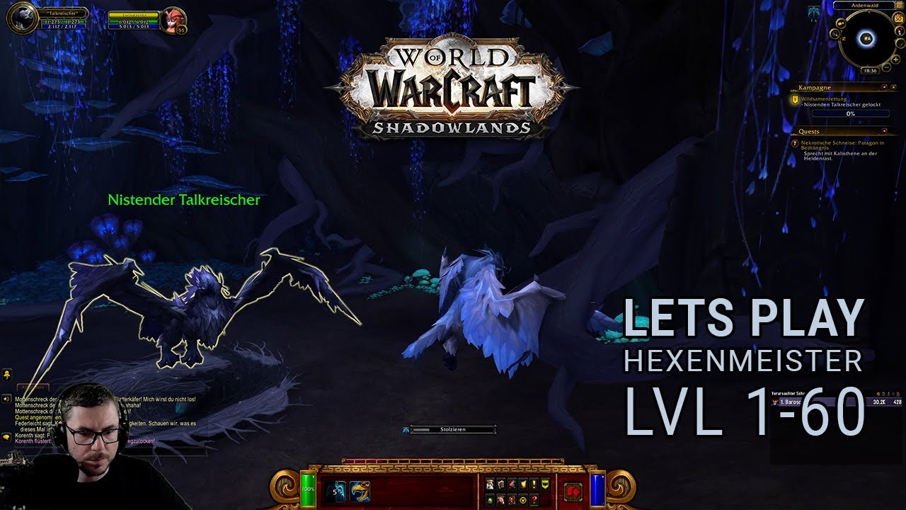 WORLD OF WARCRAFT 🎇 #088Der Ardenwald - YouTube