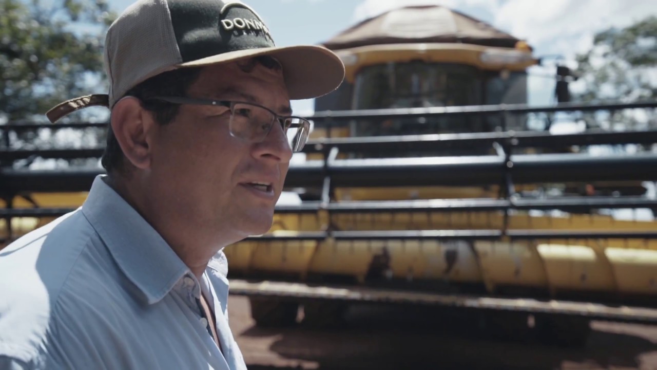 A importância da cultivar - GDM Seeds - DM66i68 - YouTube