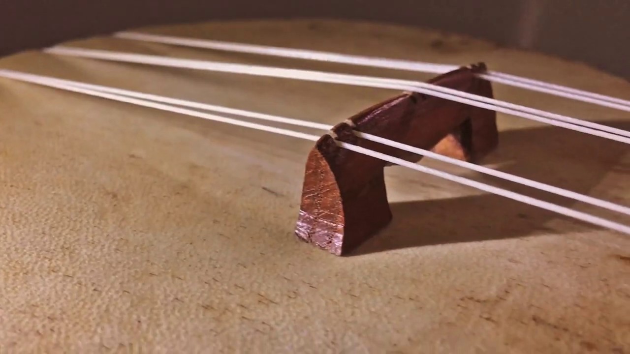 Tibetan Instrument Dranyen B-roll with Iphone SE | namgyal24 | Inspired ...