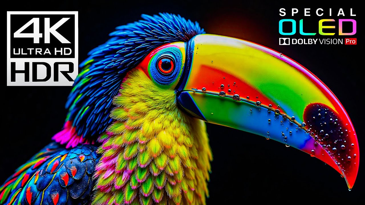 Experience Like Never Before with 4K Videos at 120 fps | 4K HDR Dolby ...